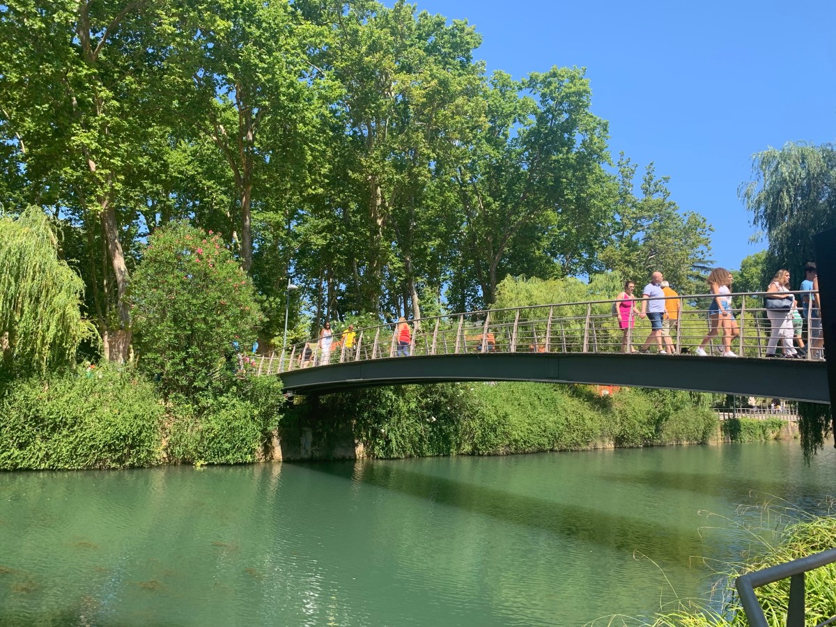 Categories | Growing Up Expat